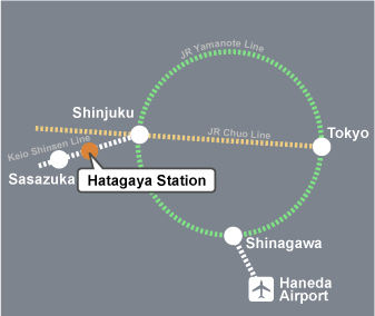 Kimi Bilingual Business Luxury Apartments & Mail Box Service - Find ...